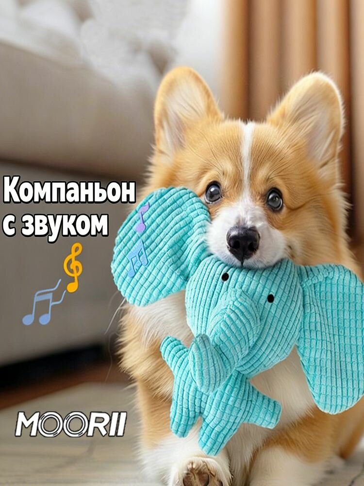 Игрушки для собак — фото 1