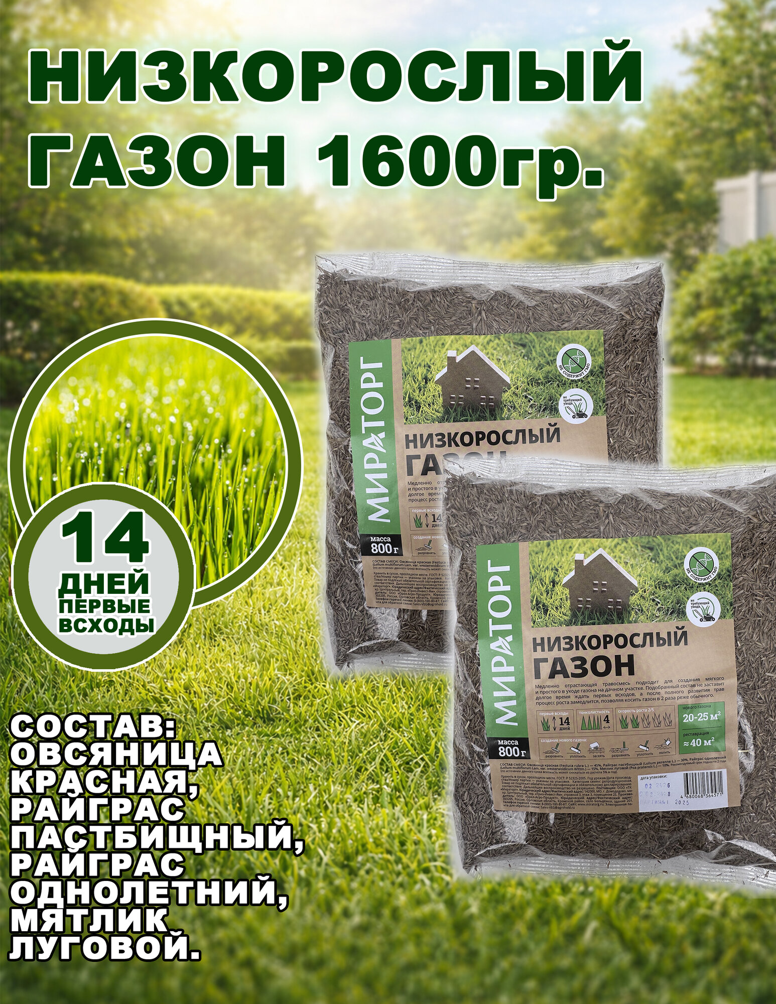 Газон низкорослый Мираторг