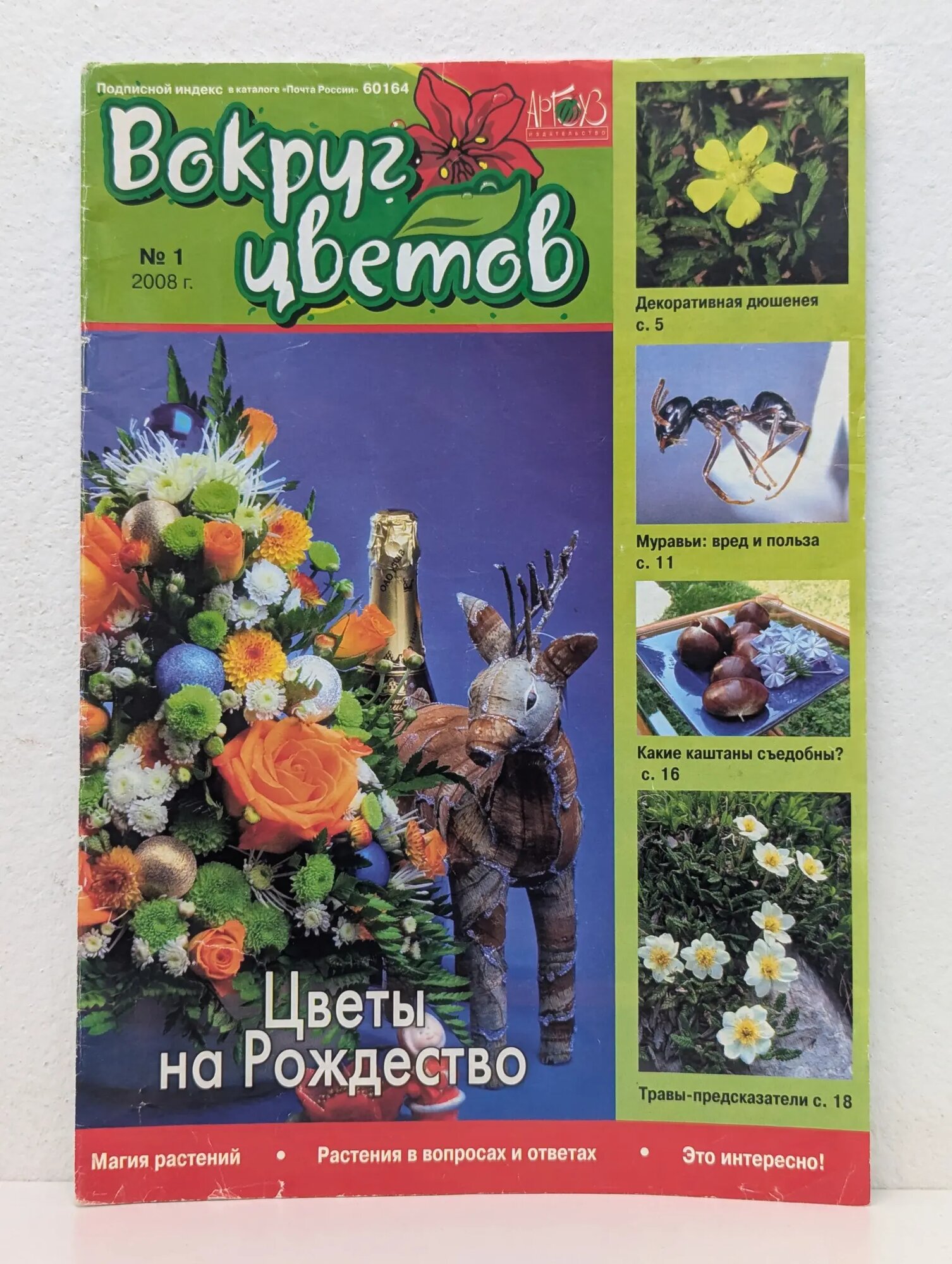 Вокруг цветов. Выпуск № 1/2008 Сборник 2008