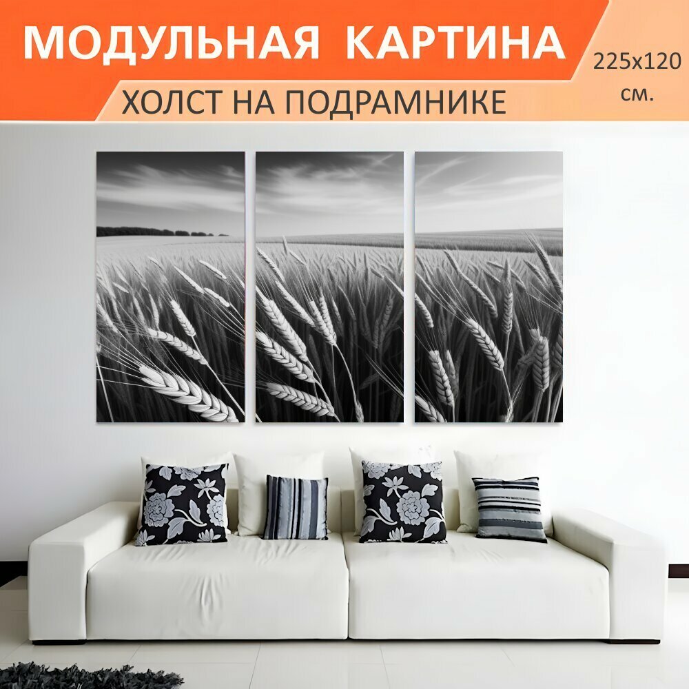 Модульная картина на холсте "Пейзаж с полем ржи чернобелый" триптих на подрамнике 225х120 см. для интерьера