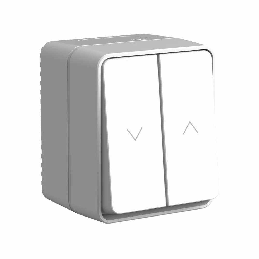 Выключатель 2-клавишный для жалюзи Systeme Electric AtlasDesign PROFI IP54, открытой установки, 2хсх.4, Серый