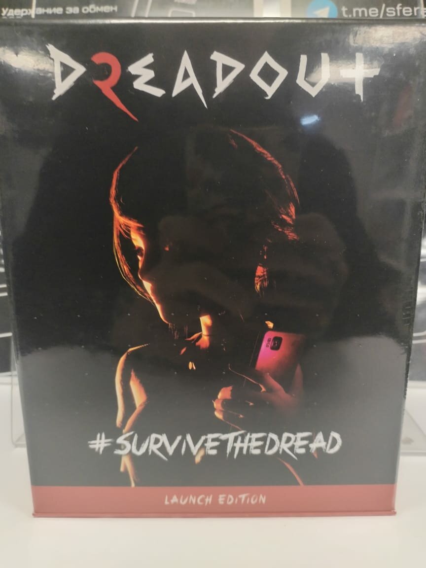 Dreadout 2 - Launch edition [Nintendo Switch, русская версия](SPC)