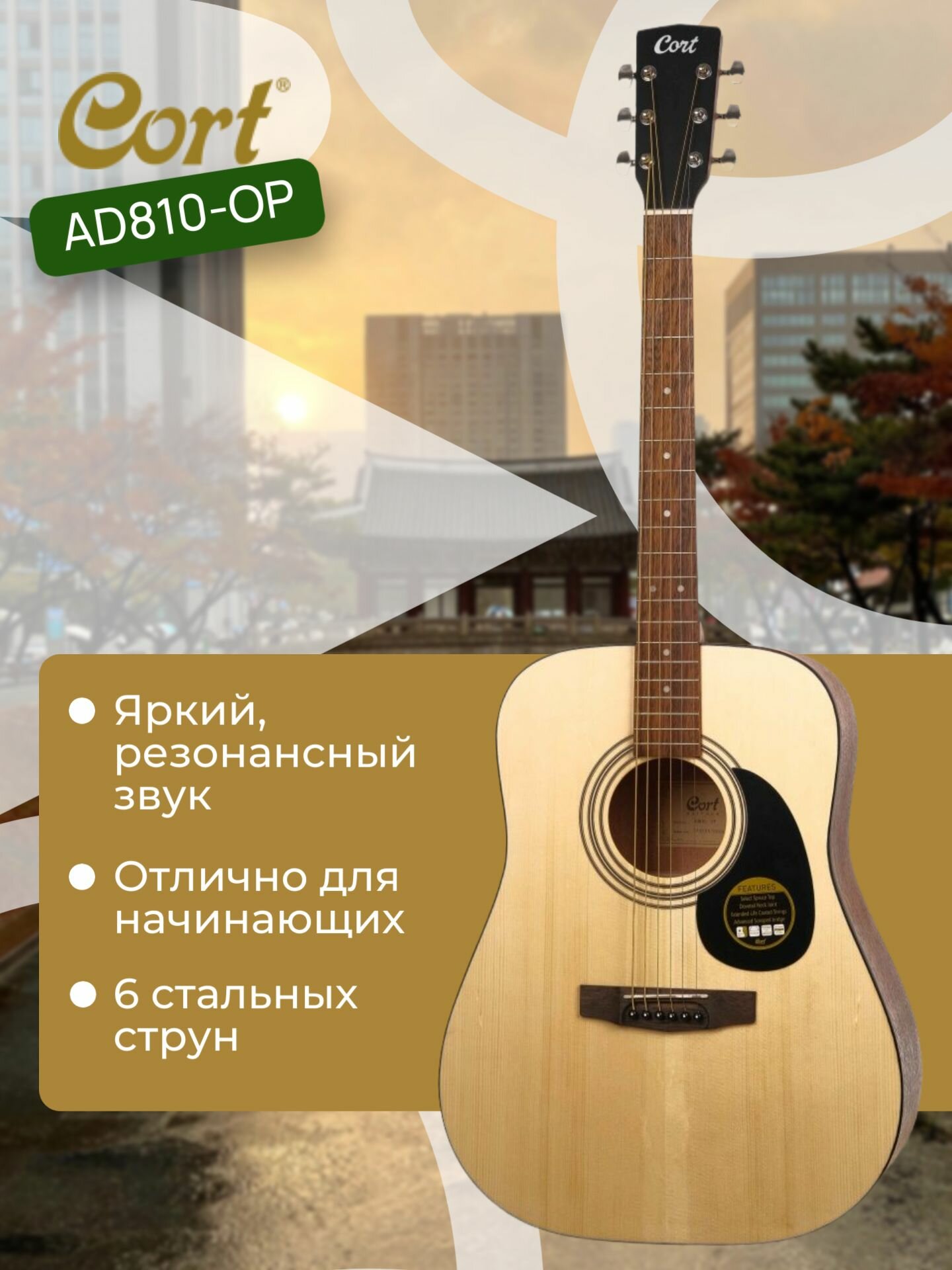 Гитара акустическая Cort AD810-OP