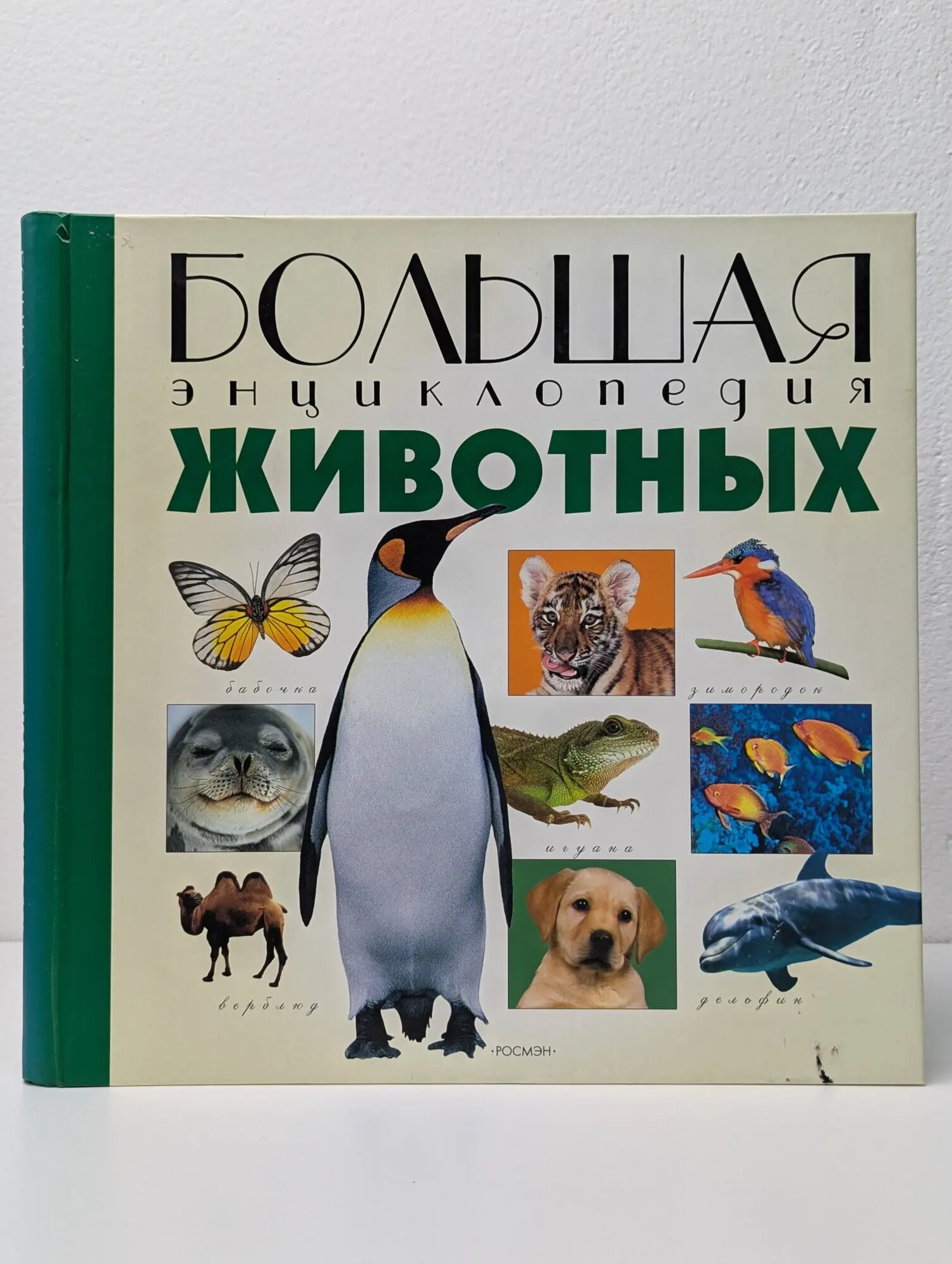 Большая энциклопедия животных Тейлор Барбара 2008