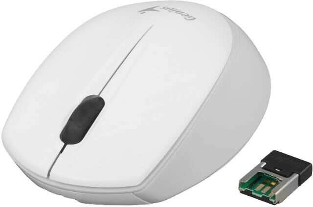 Мышь беспороводная GENIUS 31030030402