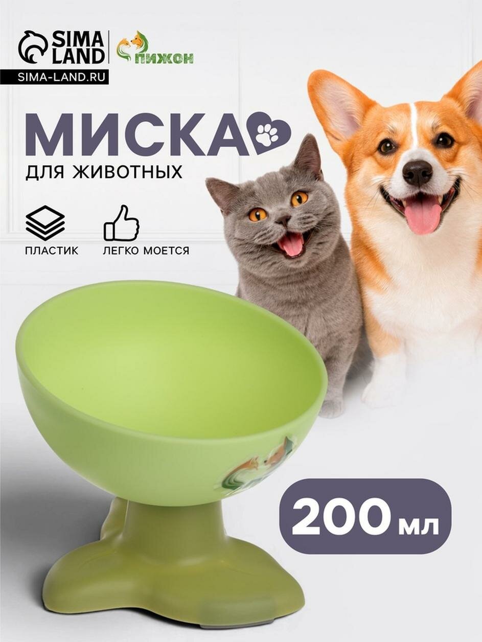 Миска Пижон 10951504, для кошек и собак, наклонная, зеленая, пластик