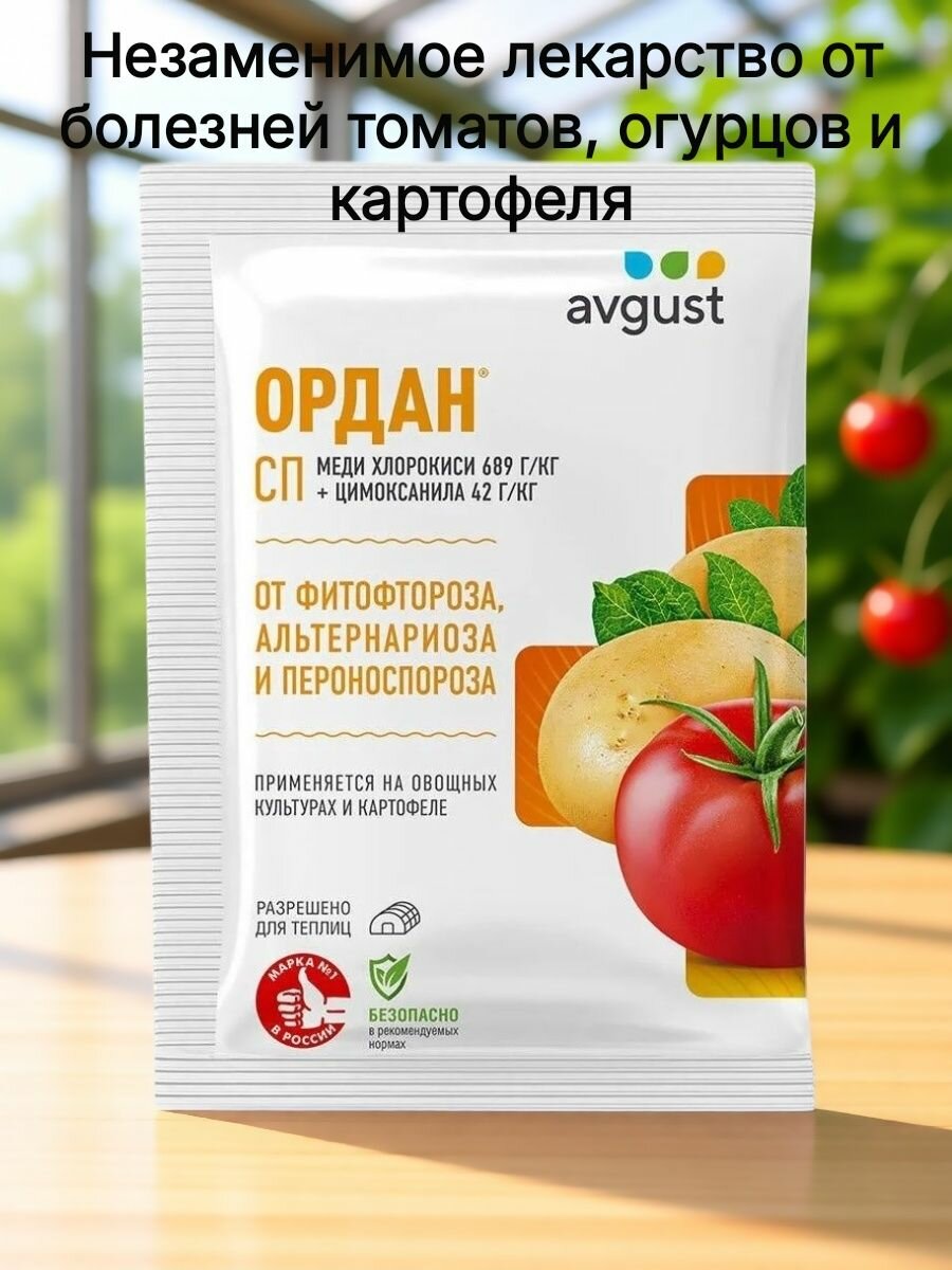 Защита растений от фитофтороза