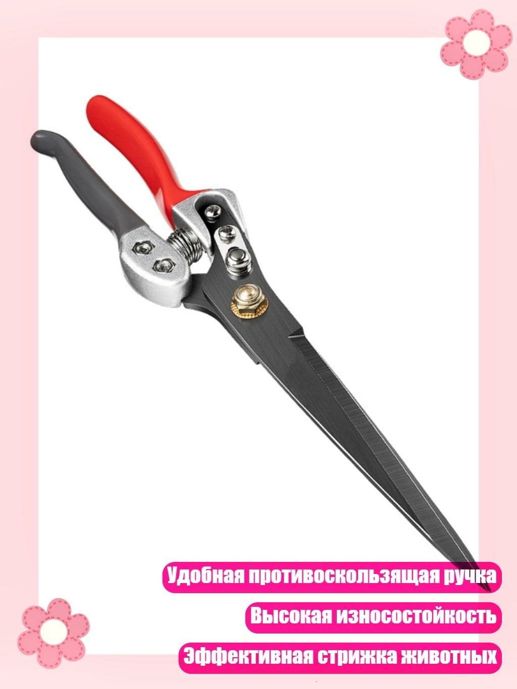 Ножницы для стрижки овец