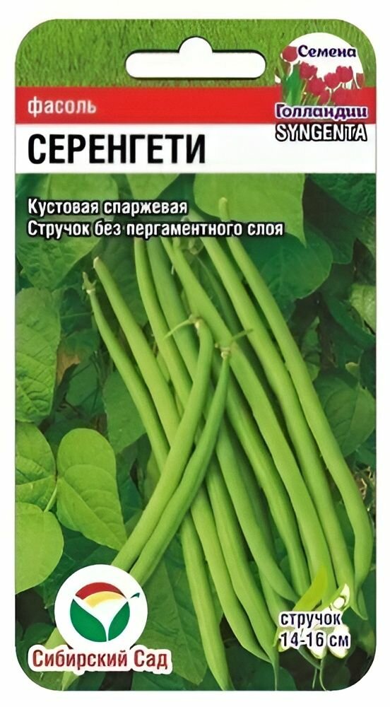 Фасоль Серенгети 15шт (Сиб Сад)