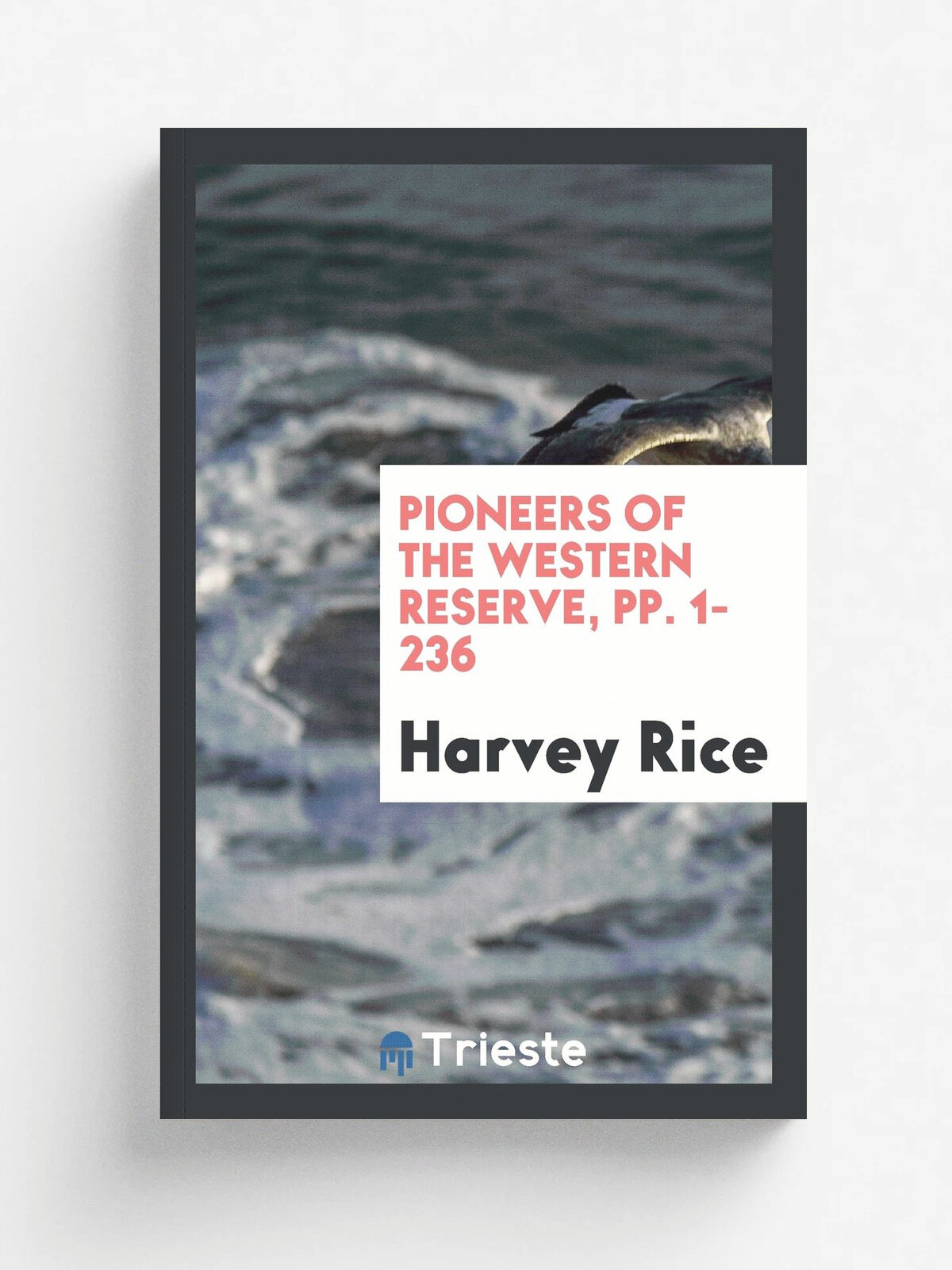 Pioneers of the Western Reserve, pp. 1-236