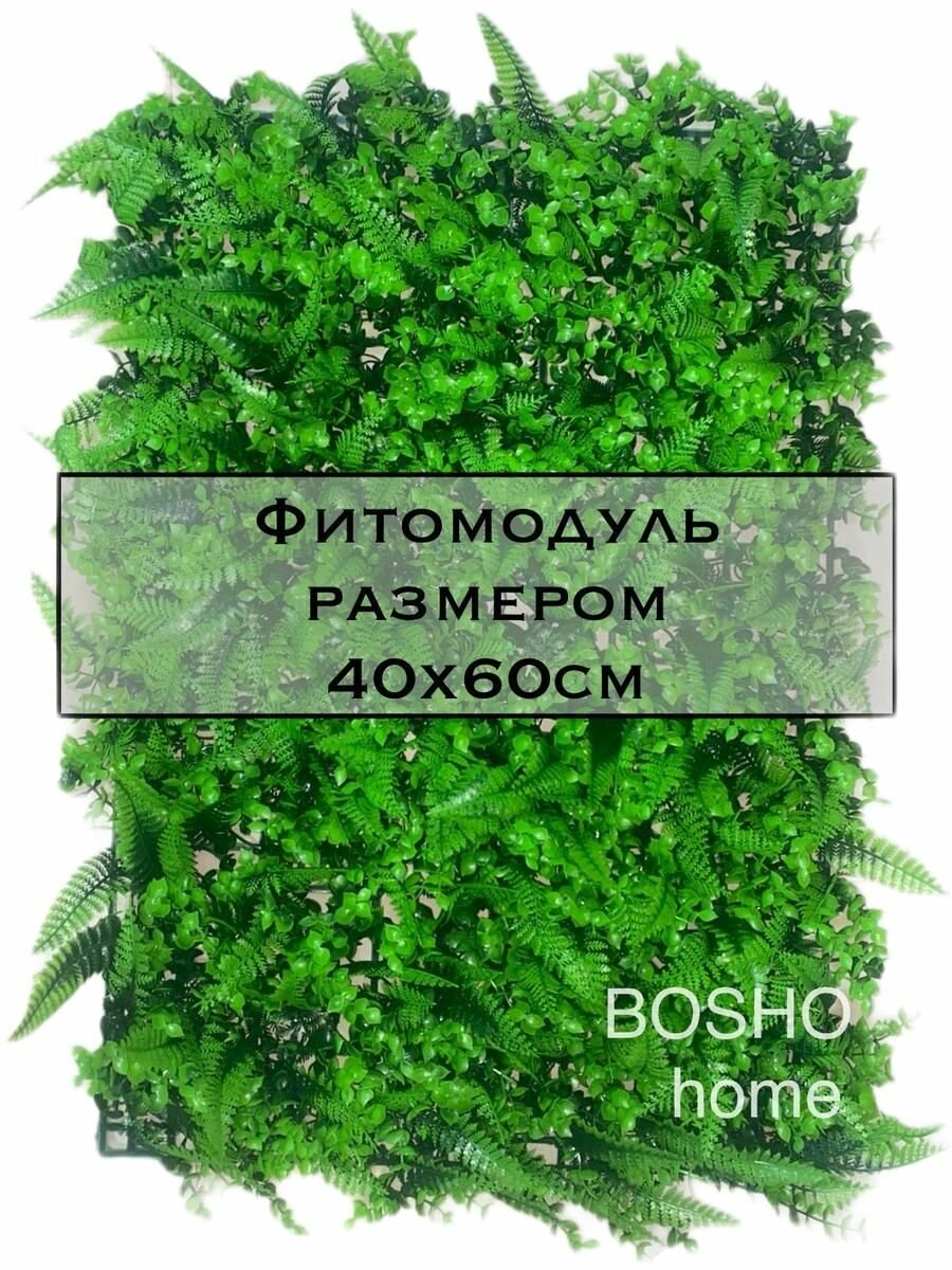 Фитостена модульная из декоративных растений эвкалипт-папоротник в размере 40х60см