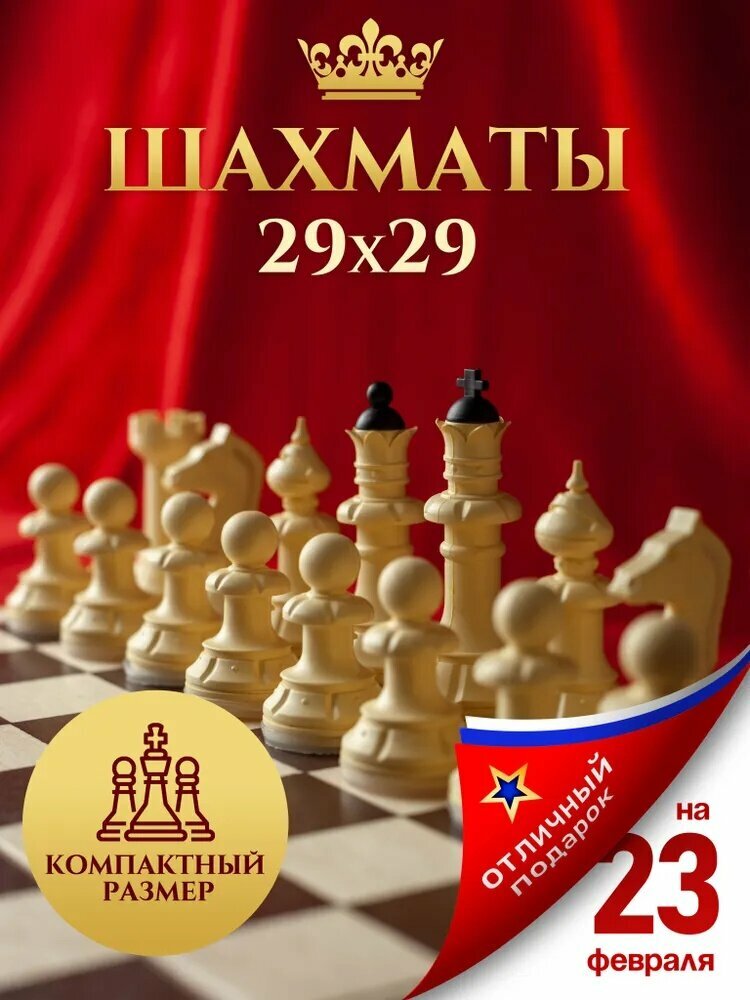 Шахматы