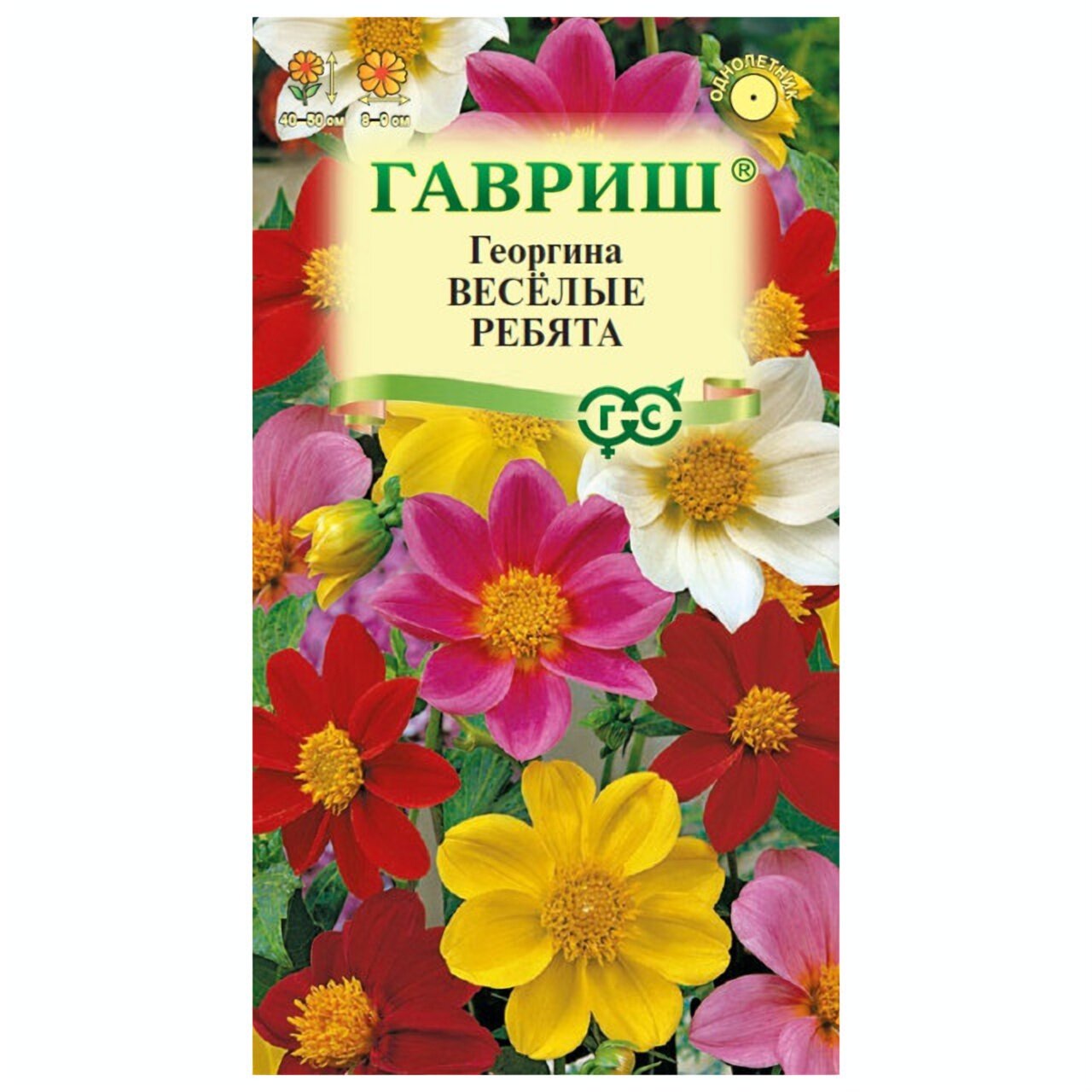 Семена Георгина Веселые ребята гавриш 0,3г, для дачи, сада, огорода и на рассаду