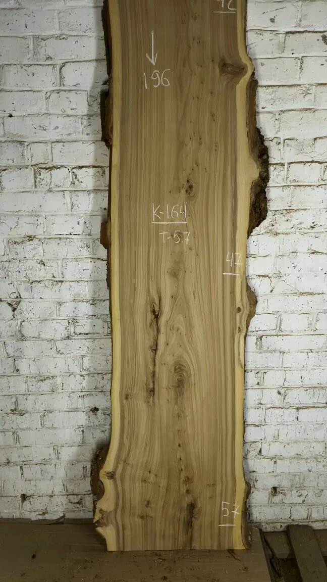 Слэб дерева Карагач К164, выровнен в плоскости, влажность 8-10%