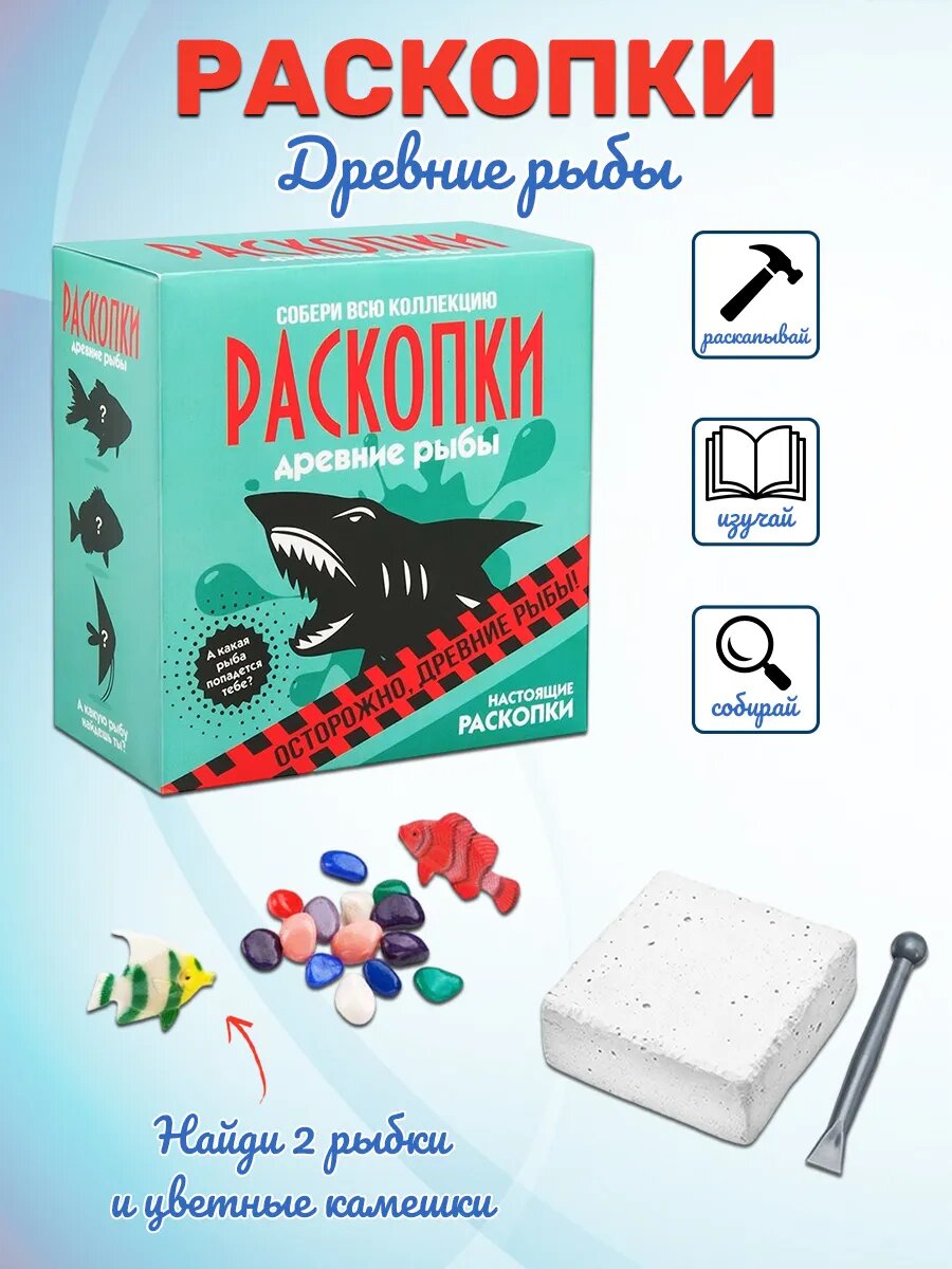 Bumbaram Набор для проведения раскопок "Рыбы"