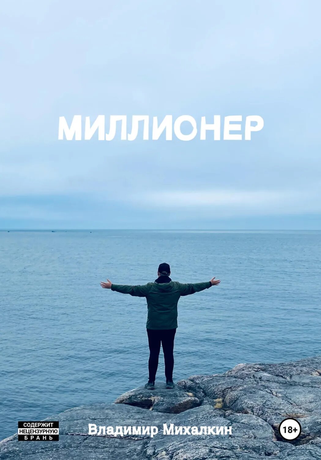 Миллионер [Цифровая книга]