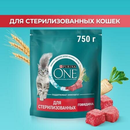 Purina ONE 2 шт по 750 г сухой корм для стерилизованных кошек и кастрированных котов, с высоким содержанием говядины и пшеницей