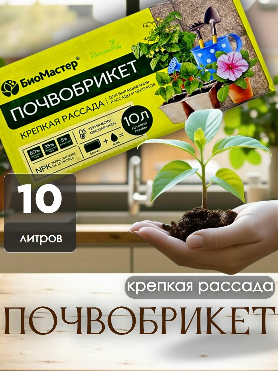 БиоМастер Почвобрикет Крепкая рассада 10 л