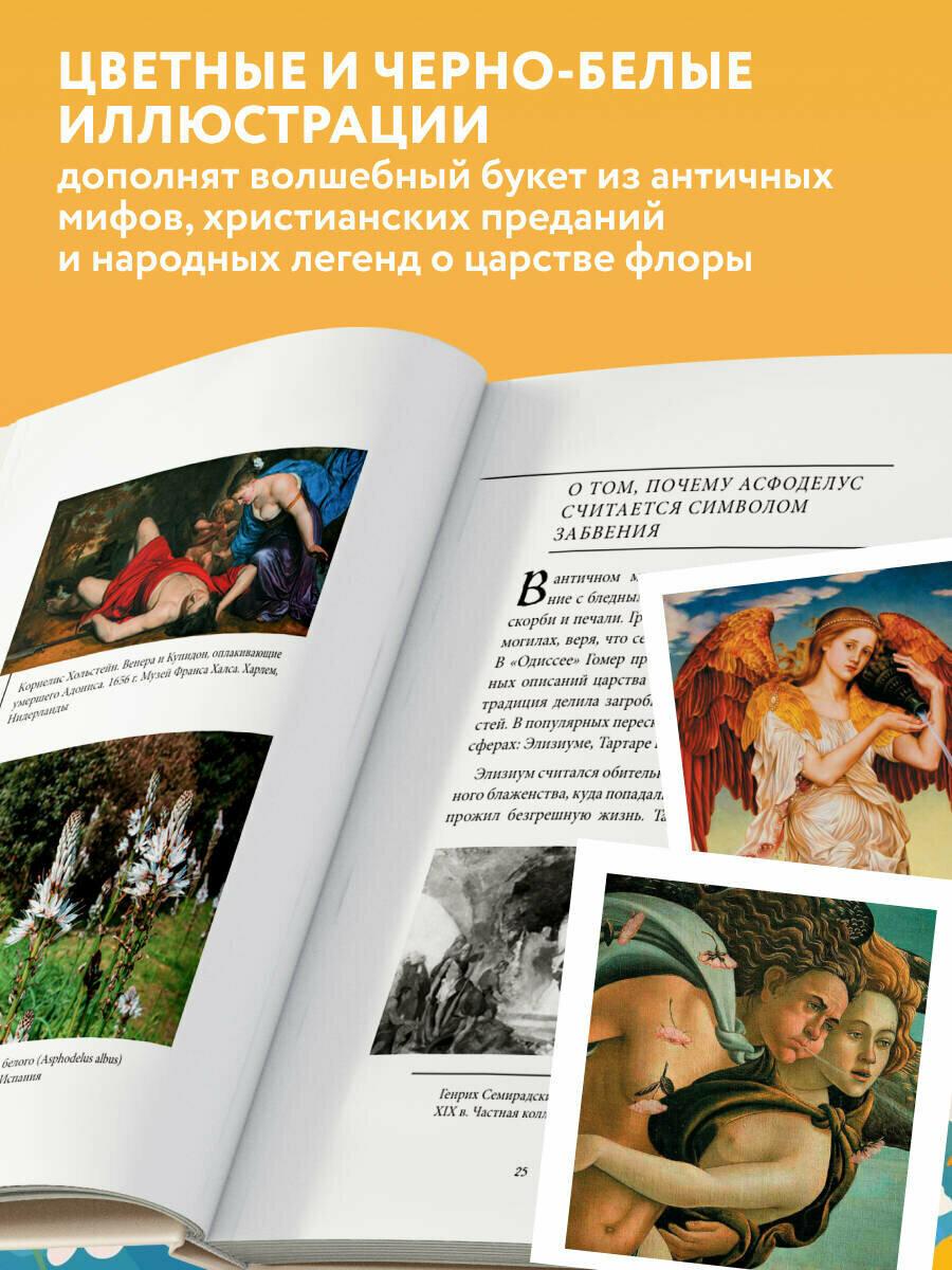 Ботанические мифы — фото 1