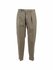Брюки Berwich Pleated trousers, размер 52, green