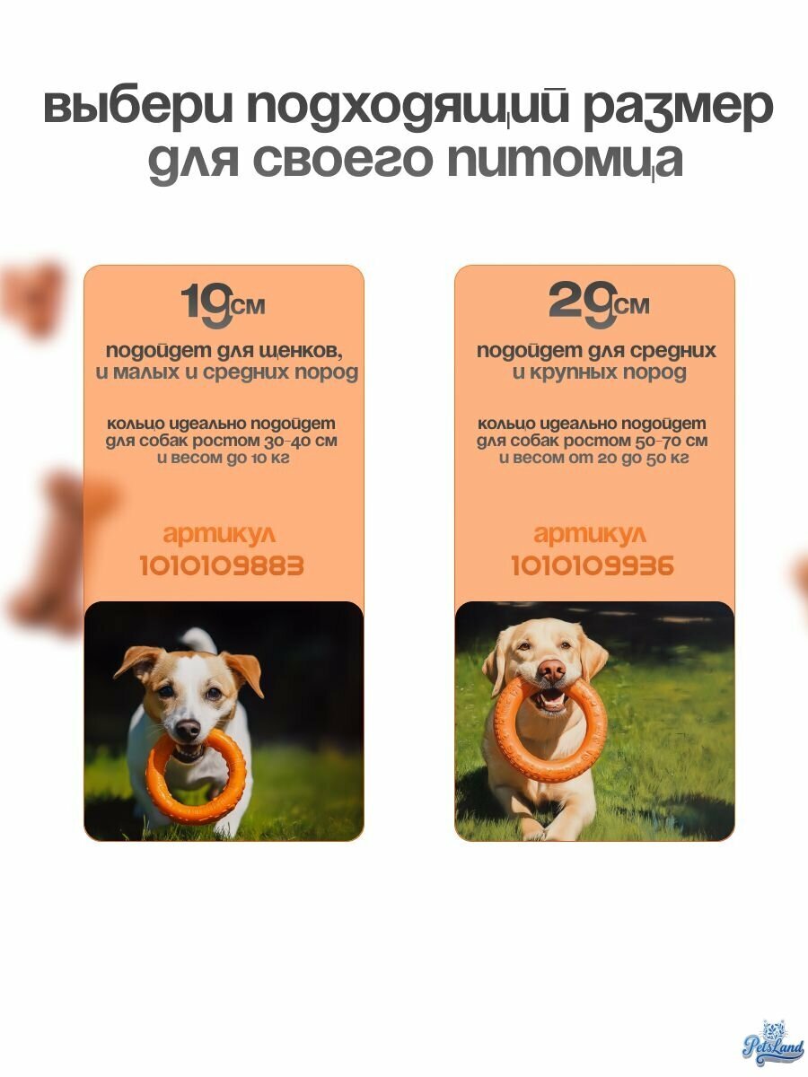 Кольцо-пуллер для собак, 29 см, игрушка для собак — фото 1