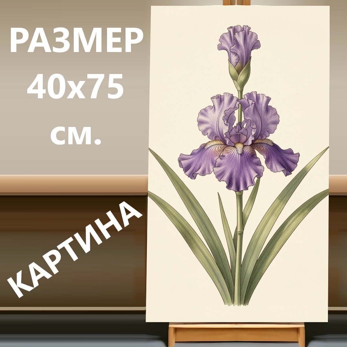 Картина на холсте "Фиолетовый ирис на светлом фоне. Изящное ботаническое изображение с распустившимся ирисом и длинными листьями, выполненное в." на подрамнике 75х40 см. для интерьера