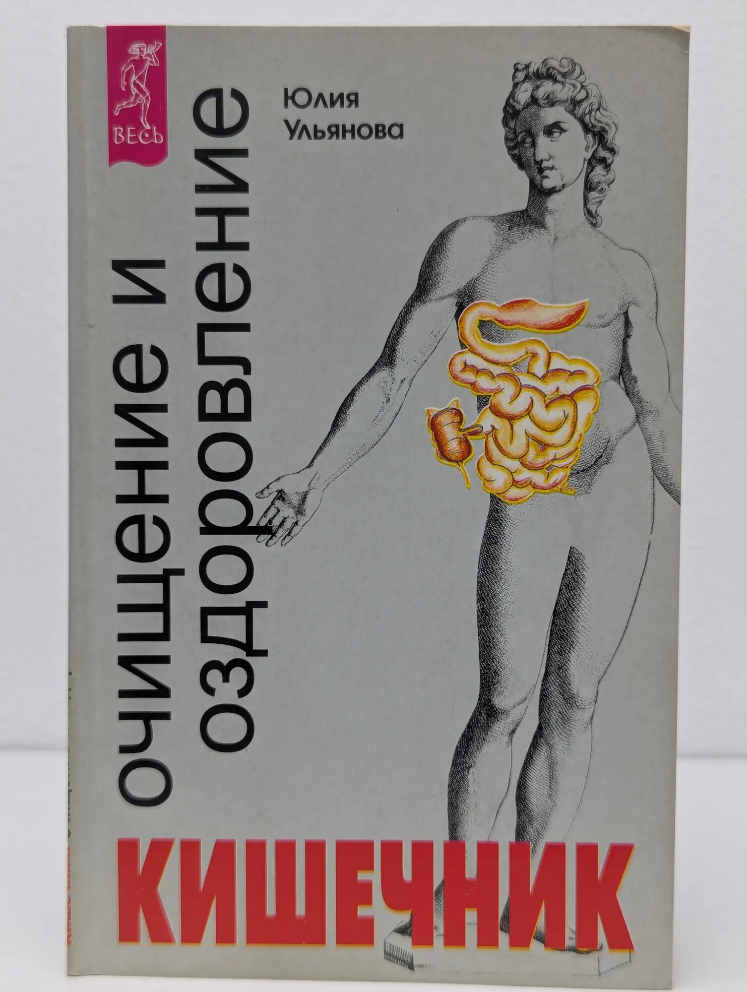 Кишечник. Очищение и оздоровление Ульянова Юлия Сергеевна 2003