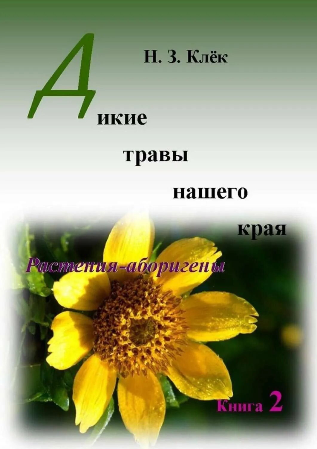 Дикие травы нашего края. Книга 2. Растения-аборигены [Цифровая книга]