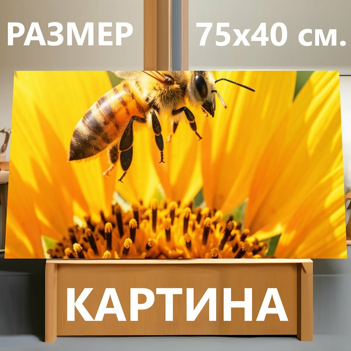Картина на холсте "Пчела на ярком подсолнухе. Макросъёмка насекомого на цветущем жёлтом цветке с детально прорисованными лепестками и семенами." на подрамнике 75х40 см. для интерьера