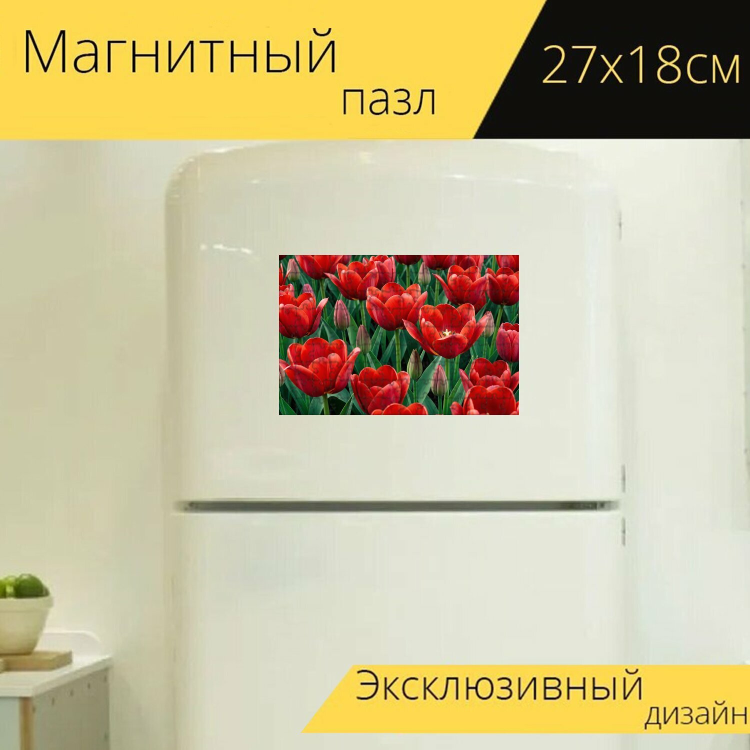 Магнитный пазл "Красные тюльпаны в цветущем поле. Яркая весенняя композиция с алыми бутонами и зелёной листвой, крупный план, насыщенные оттенки красного." на холодильник 27 x 18 см.