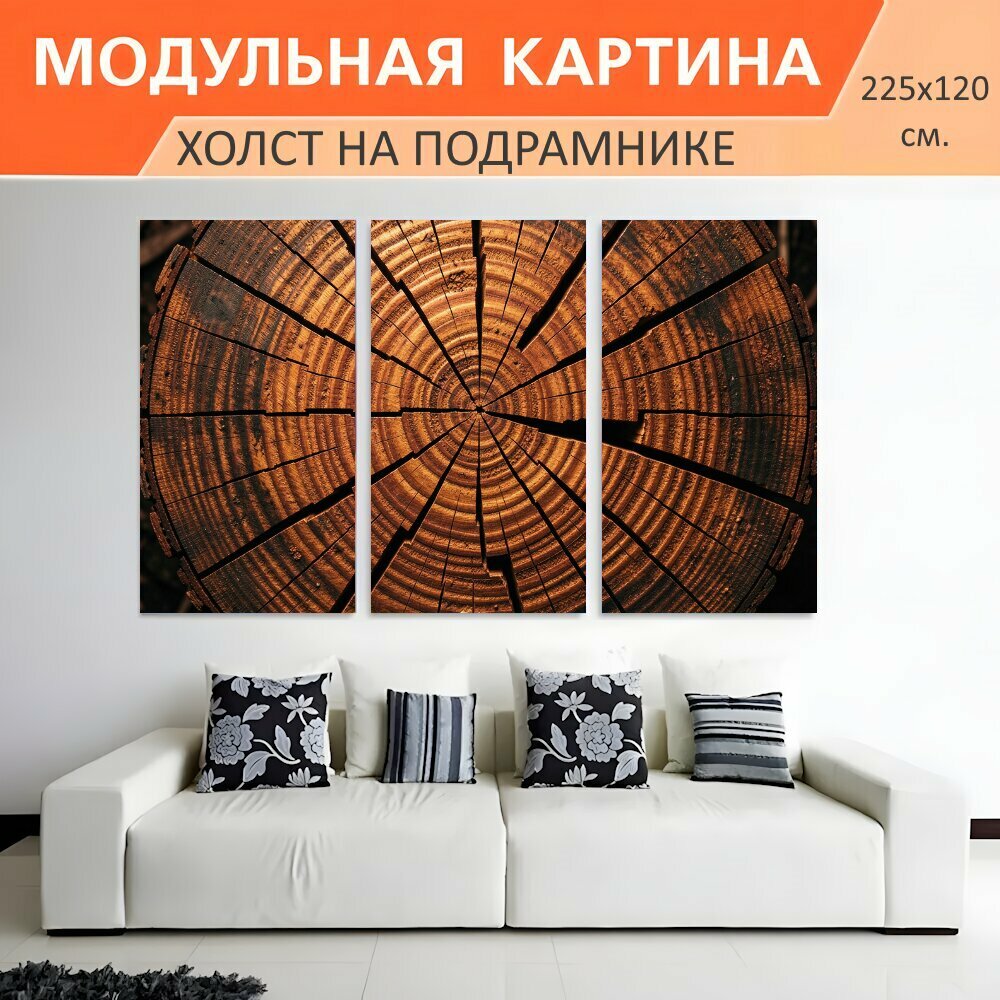 Модульная картина на холсте "Срез древесины с годичными кольцами. Крупный план спила дерева с выразительной текстурой." триптих на подрамнике 225х120 см. для интерьера