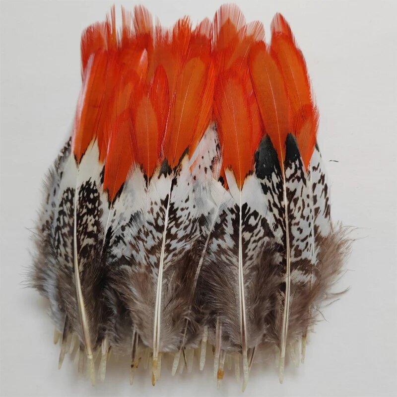 Натуральные перья леди-амхерстов 10/30 шт. 10pcs, 10-15cm