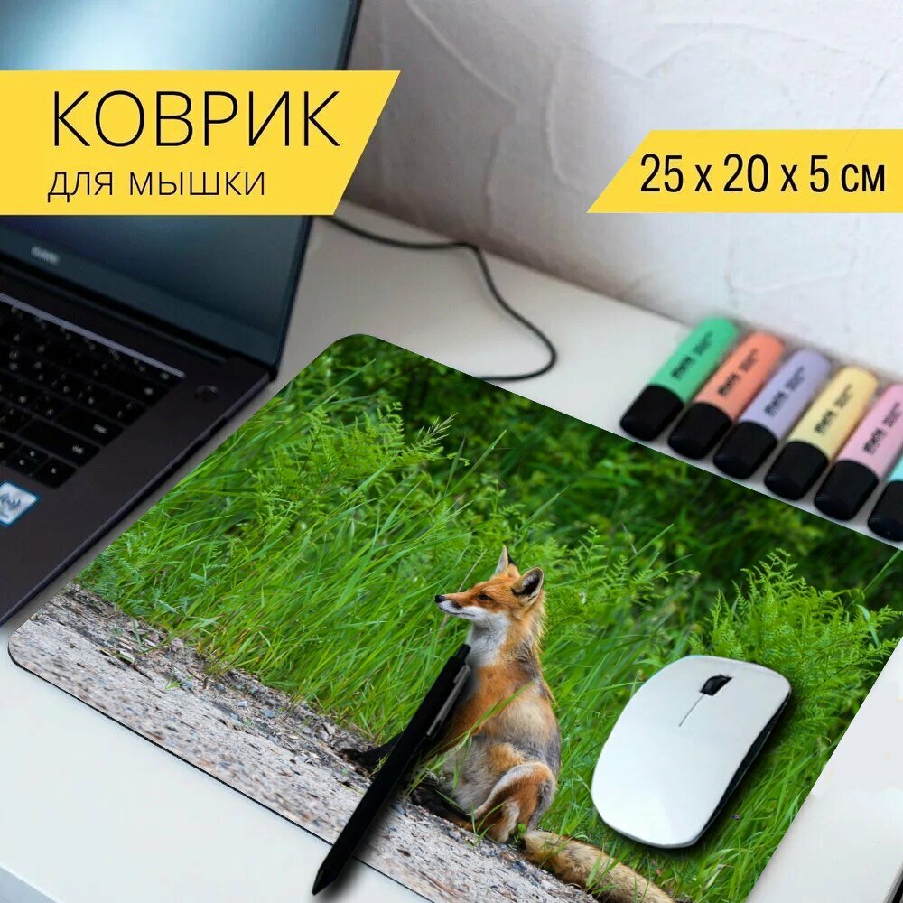Коврик для мыши с принтом "Лиса, red fox, дикий" 25x20см.