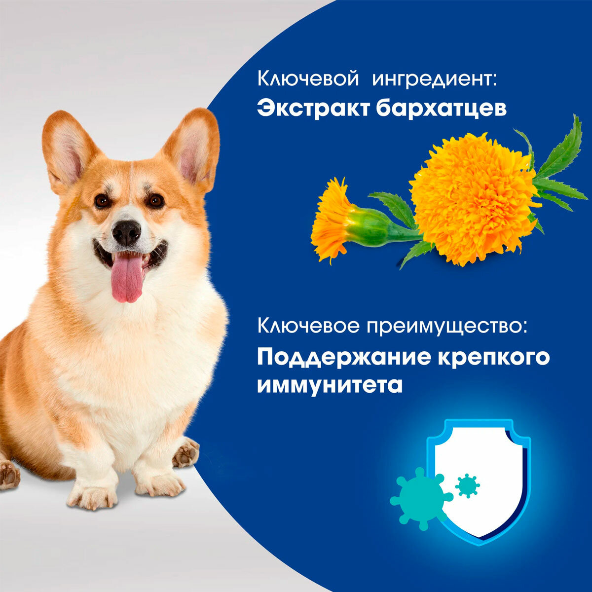 Perfect fit Набор 12 шт Лакомство IMMUNITY для собак, с говядиной и добавлением экстракта бархатцев Для поддержания иммунитета, 90г 1.08 кг