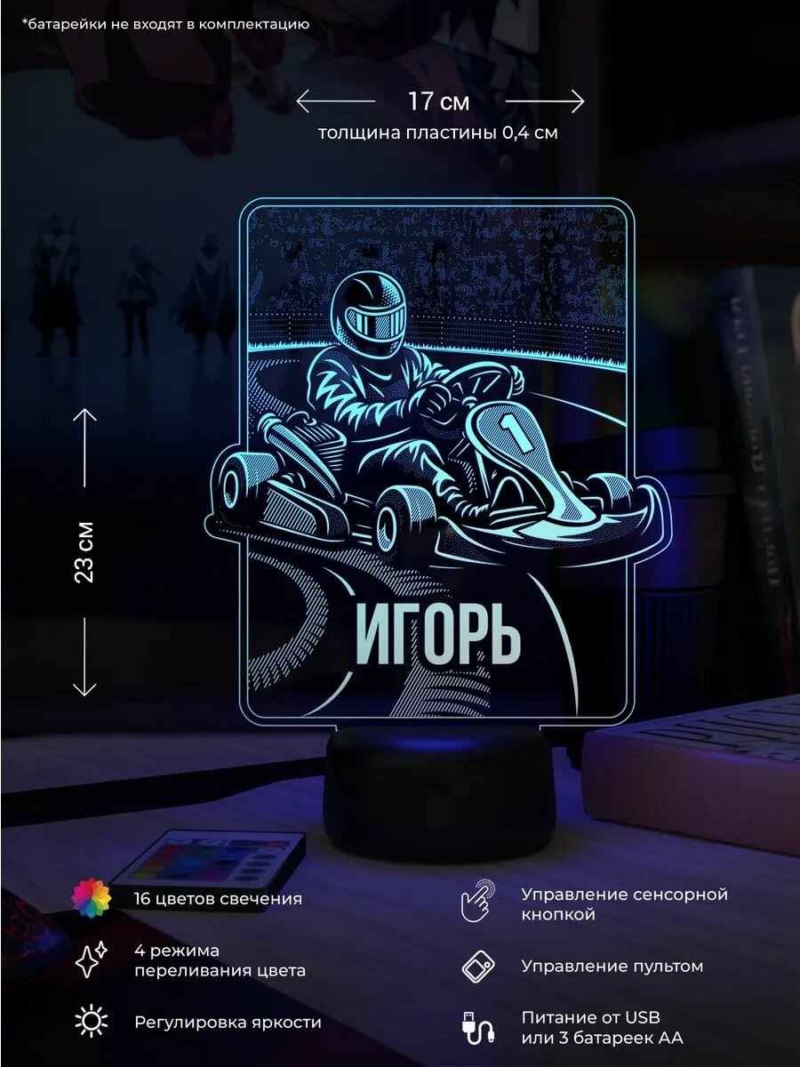 Ночник Игорь - картинг — фото 1