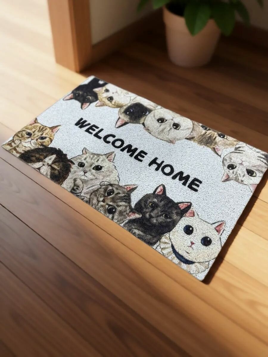 Коврик Welcome 60х90 см, придверный, пористый