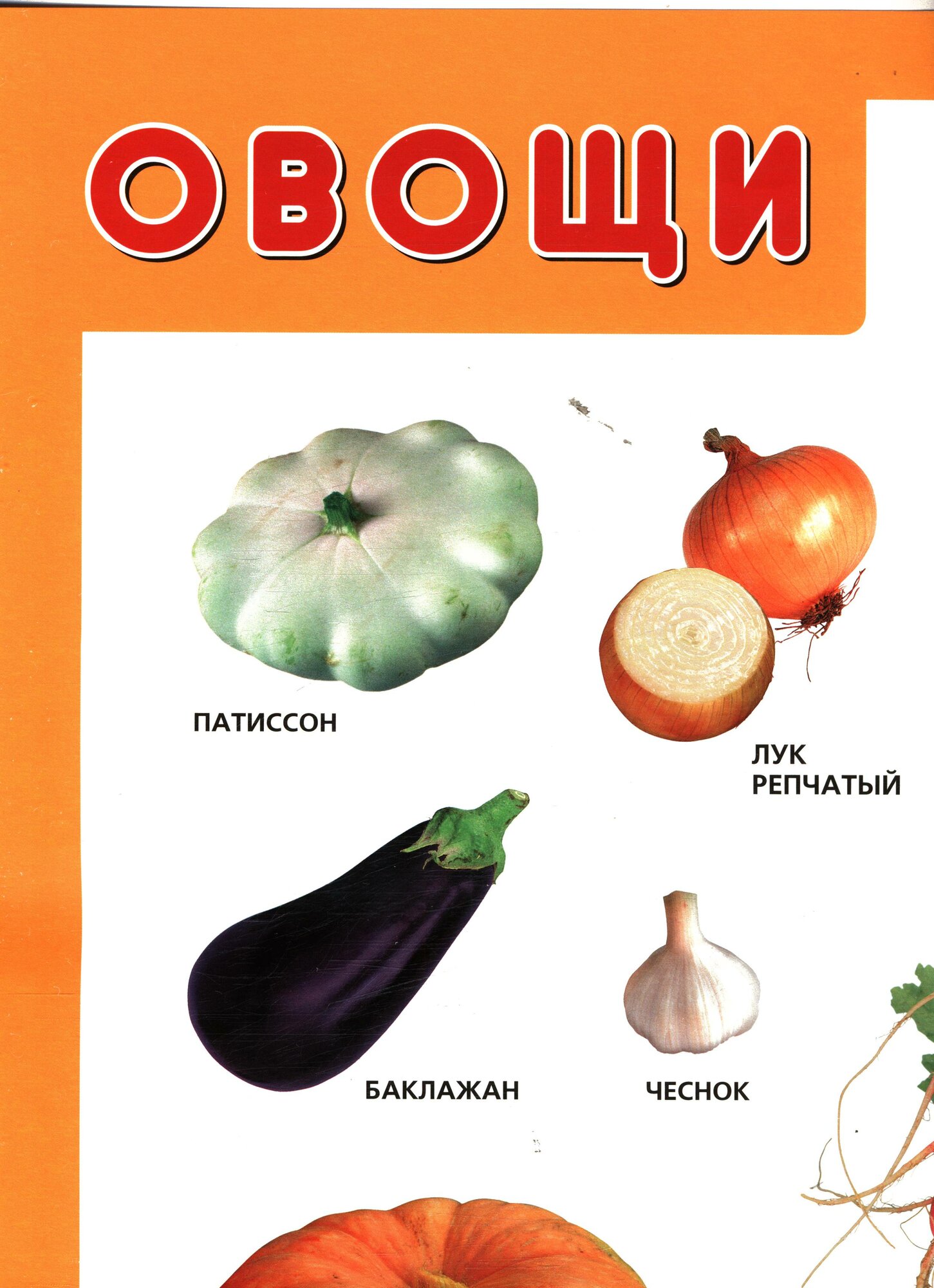 _ПлакатРазвив(МозаикаС) Овощи ()