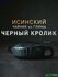 Чайник заварочный Черный Кролик из исинской глины 170 мл, черный