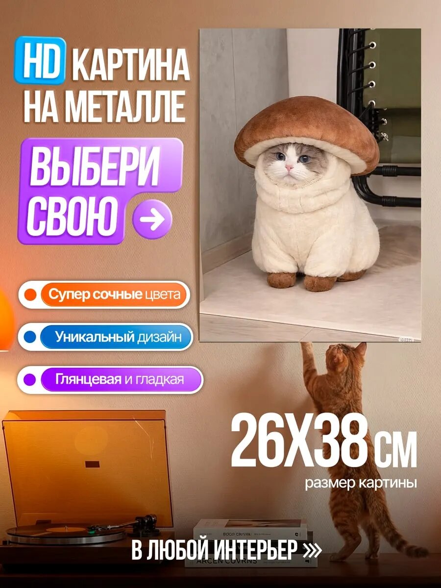 Картина на HD металле Кот гриб