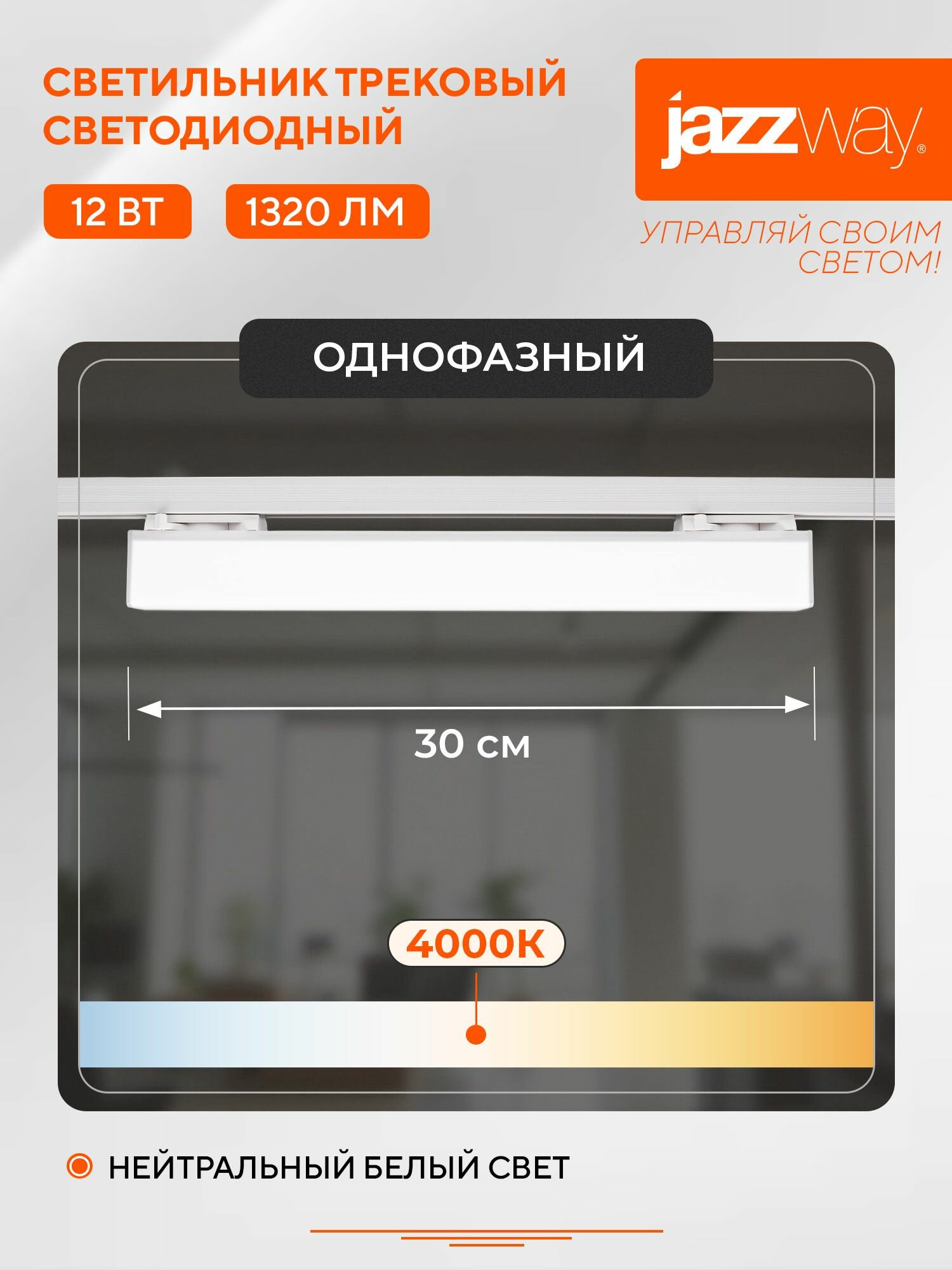 Трековый светильник Jazzway PTR 4512 12W 4000K