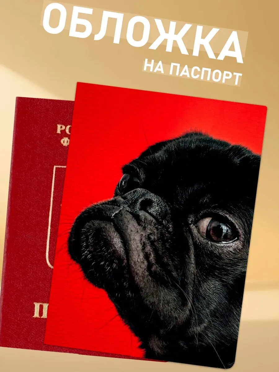 Обложка для паспорта