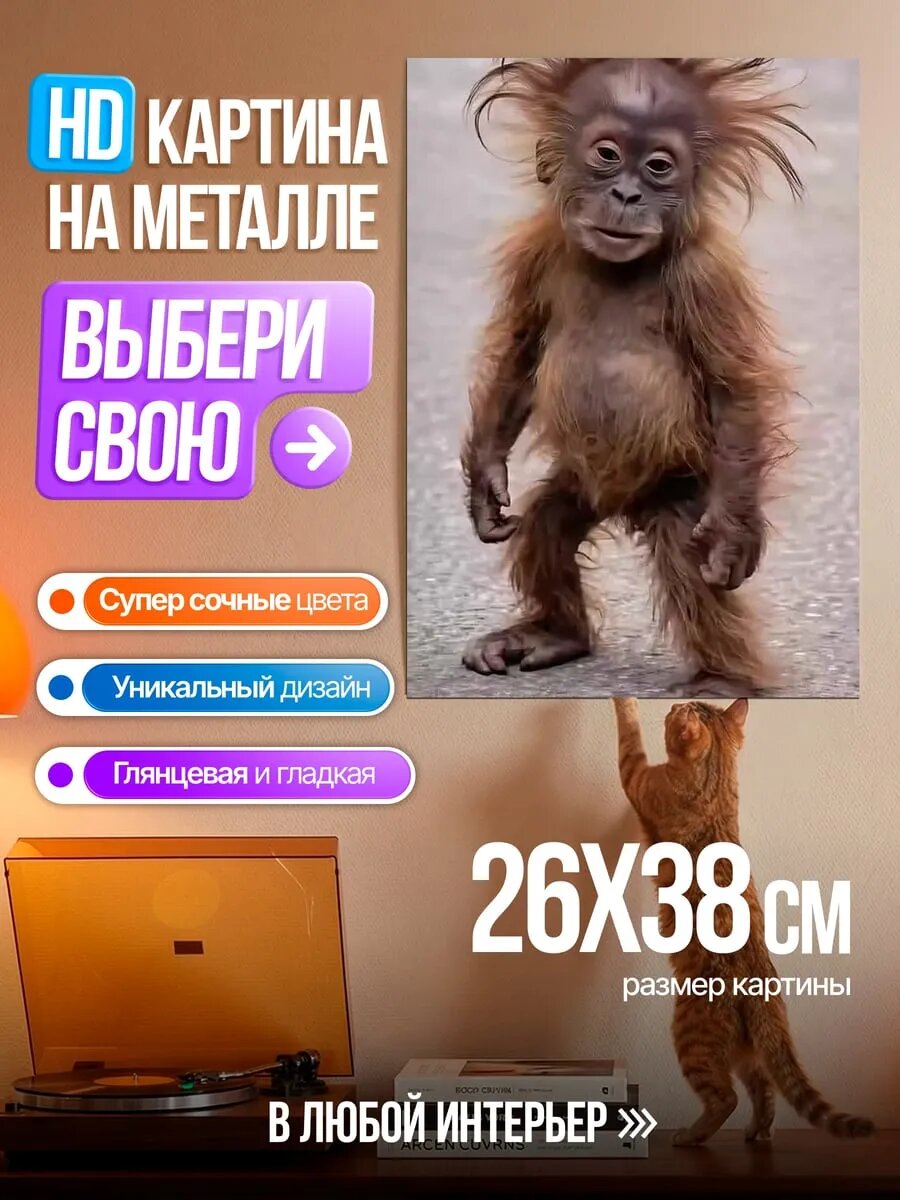 Картина на HD металле детеныш орангутана взъерошенный