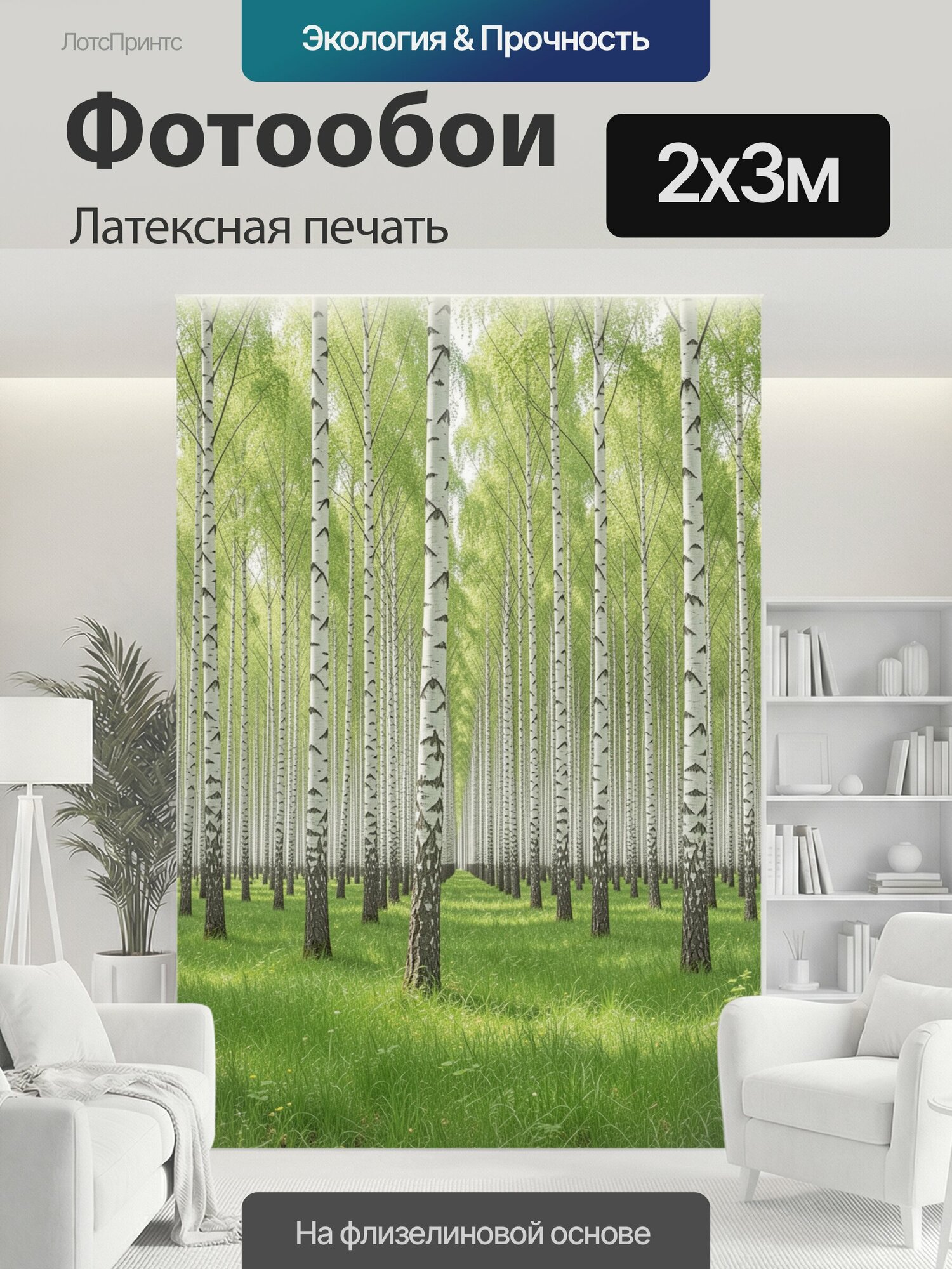 Фотообои моющиеся ударопрочные "Берёзовая роща с зелёной травой. Светлый лесной пейзаж с высокими белоствольными деревьями, молодой листвой и сочной." 200x300 см. латексная печать