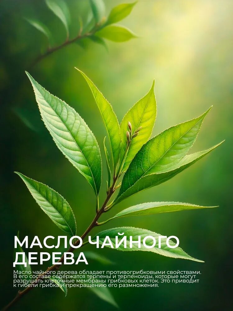 Лечебное средство — фото 1