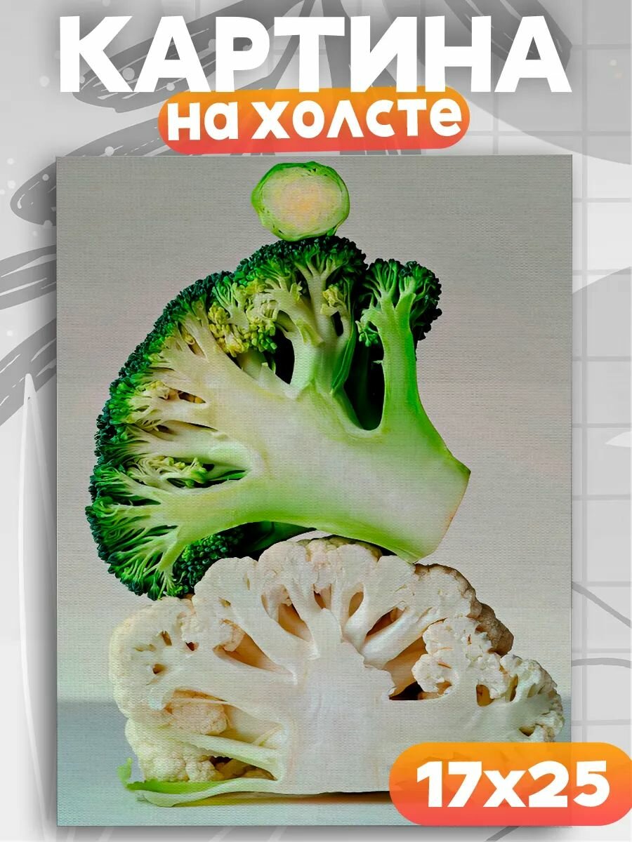 Картина на стену для интерьера на кухню овощи Брокколи, цветная капуста, на подрамнике, 1шт, 25х17 размер.