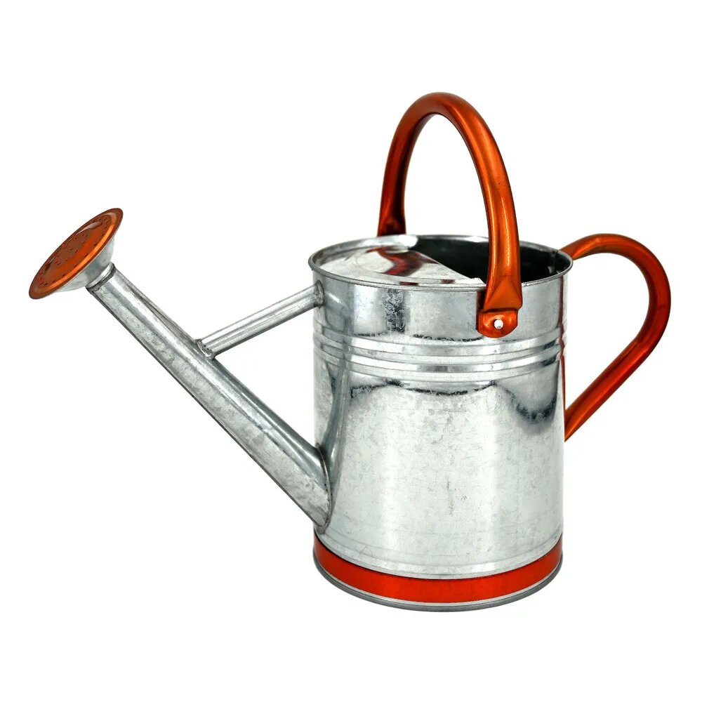 Лейка, 3.78 л 1 шт