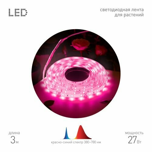 Лента светодиодная FITO-Strip Light-RB-27W-3m-12V-IP65 3м красн./син. спектра IP65 с адаптером 12В для растений Эра Б0064617