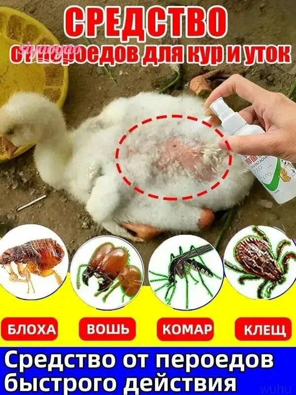 GEALFIS pet care products 100 мл, подходит для ежедневного домашнего ухода за чувствительной кожей кошек и собак