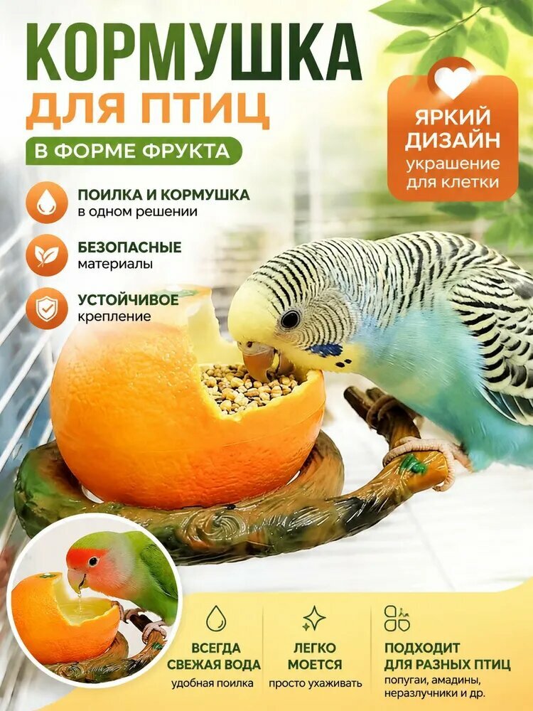 Кормушка для попугаев фруктовая, двойная миска для корма и воды, защита от разбрасывания, прочный пластик, подвесная