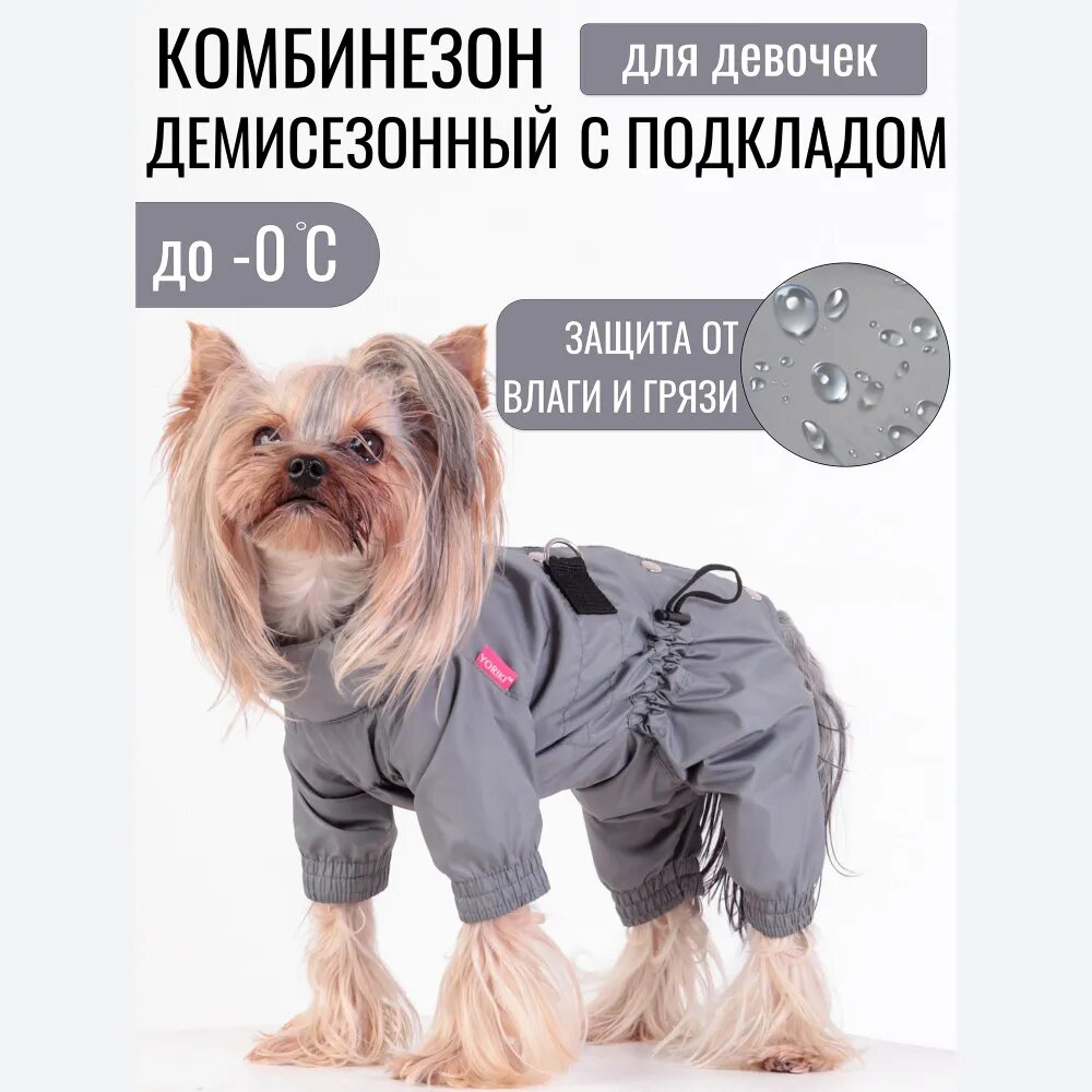 Комбинезон демисезонный для собак мелких пород Yoriki "Грэй" девочка, р. XL